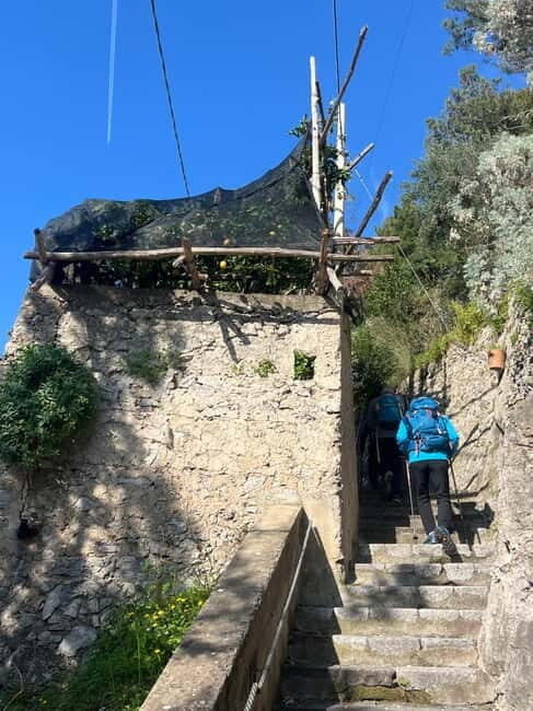 From Salerno: Lemon Tour with Tasting Session and Transfer - What Makes This Tour Stand Out