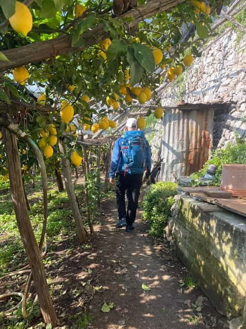 From Salerno: Lemon Tour with Tasting Session and Transfer - FAQ