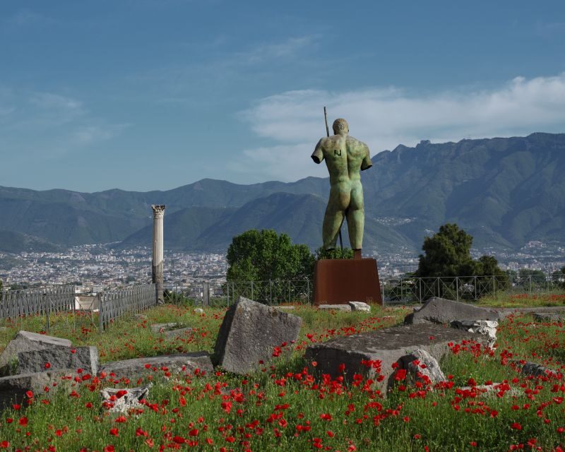 From Salerno: Pompeii Guided Walking Tour with Ticket - Exploring Pompeii from Salerno: A Practical Guide to the Guided Walking Tour