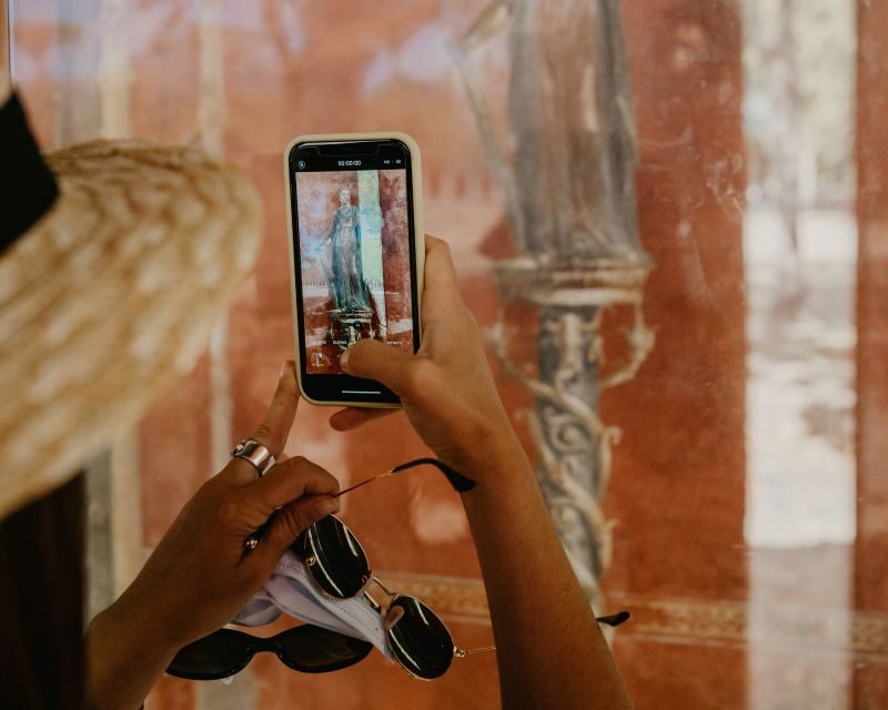 From Salerno: Pompeii Guided Walking Tour with Ticket - Key Points