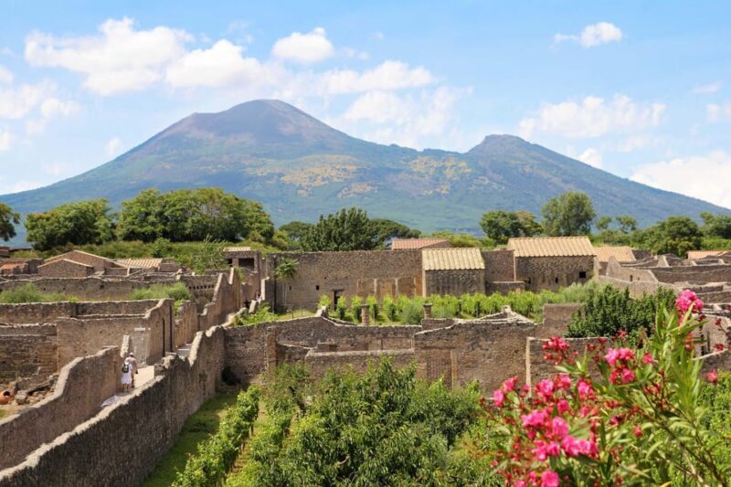 From Salerno_Pompeii Express_bus+ skip the line ticket - Entering Pompeii: Fast and Focused