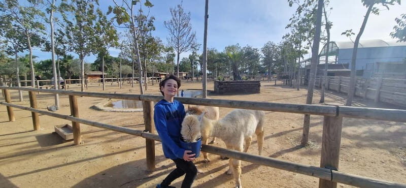From Salou: animal farm park with hotel pickup - Introduction