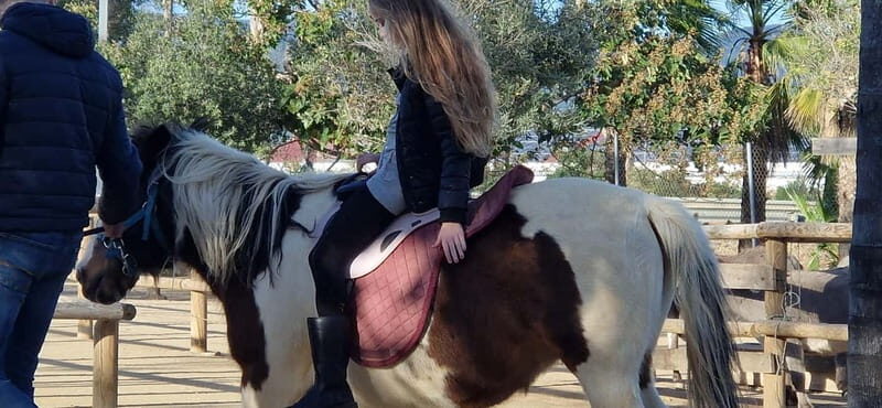 From Salou: animal farm park with hotel pickup - A Family Day Out with a Purpose