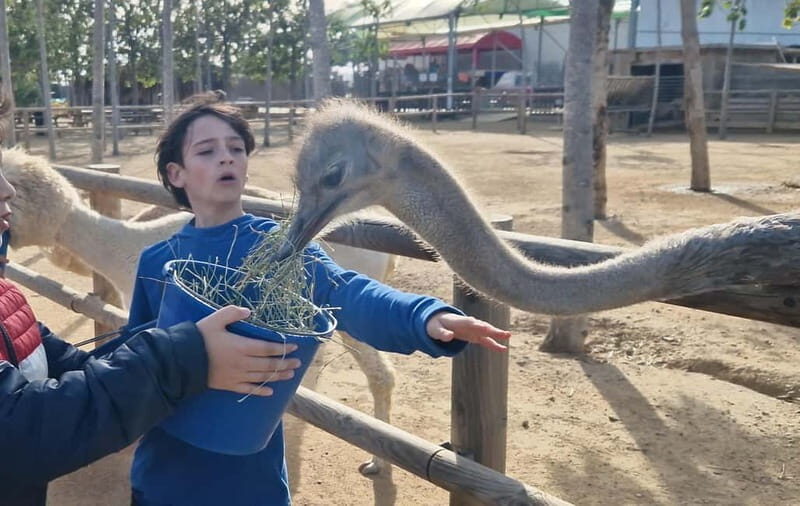 From Salou: animal farm park with hotel pickup - Practical Details and Real-world Insights