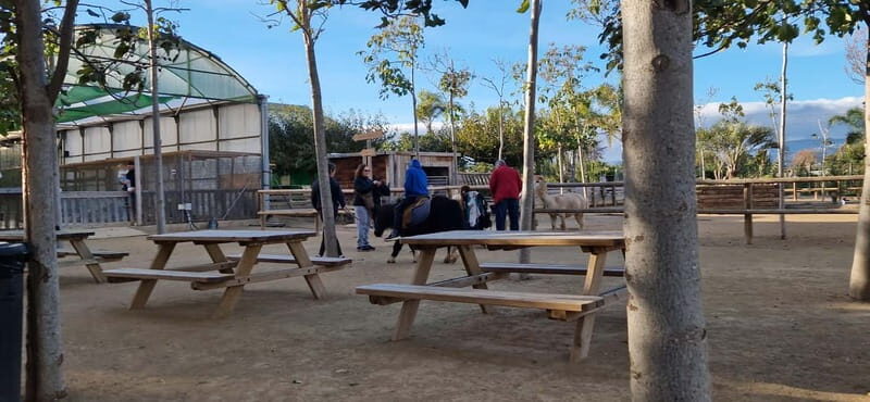 From Salou: animal farm park with hotel pickup - Who This Tour is Best For