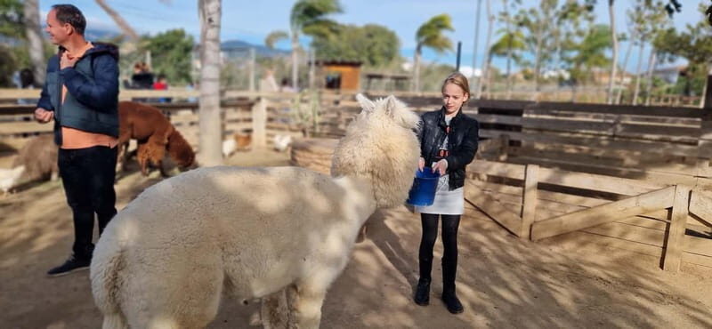 From Salou: animal farm park with hotel pickup - FAQ
