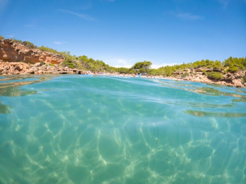 From Salou/Cambrils: Speedboat Tour - Key Points