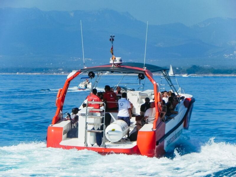 From Salou/Cambrils: Speedboat Tour - The Authenticity and Atmosphere