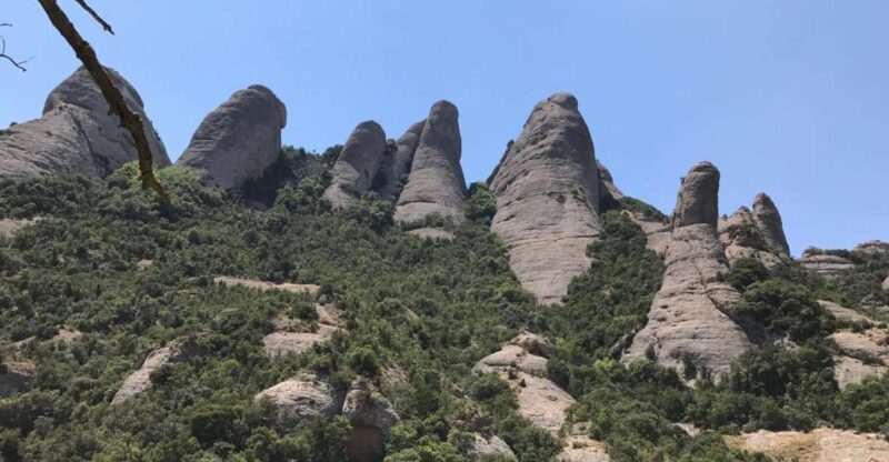 From Salou: Montserrat Monastery and Colonia Güell - The Sum Up: Who Should Consider This Tour?