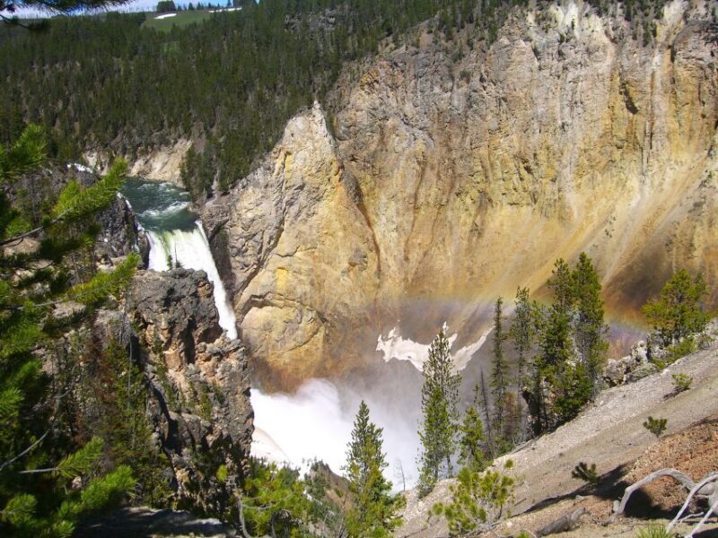 From Salt Lake City: Yellowstone and Tetons Parks in 4 Days - The Sum Up