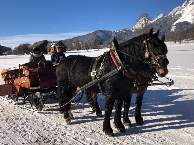 From Salzburg: 8 hour Horse-Drawn incl. 2-hour Carriage Ride - Who Is This Tour Ideal For?