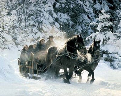 From Salzburg: 8-hour Horse-Drawn Tour w/ 2-hour Sleigh Ride - Introduction: A winter adventure worth considering