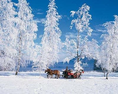From Salzburg: 8-hour Horse-Drawn Tour w/ 2-hour Sleigh Ride - Key Points