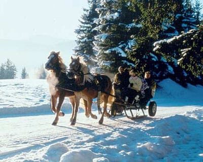 From Salzburg: 8-hour Horse-Drawn Tour w/ 2-hour Sleigh Ride - What to expect at each stage