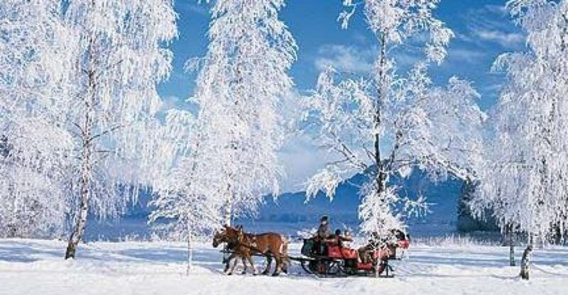 From Salzburg: Romantic Sleigh Ride through the Countryside - What Makes This Tour a Great Choice?