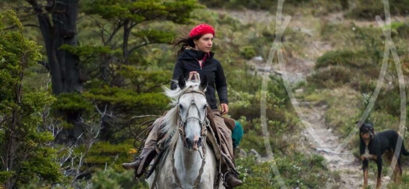 From Samaná: El Limón Waterfall Horseback Ride with Lunch - Exploring the Tour: What to Expect and Why It Matters