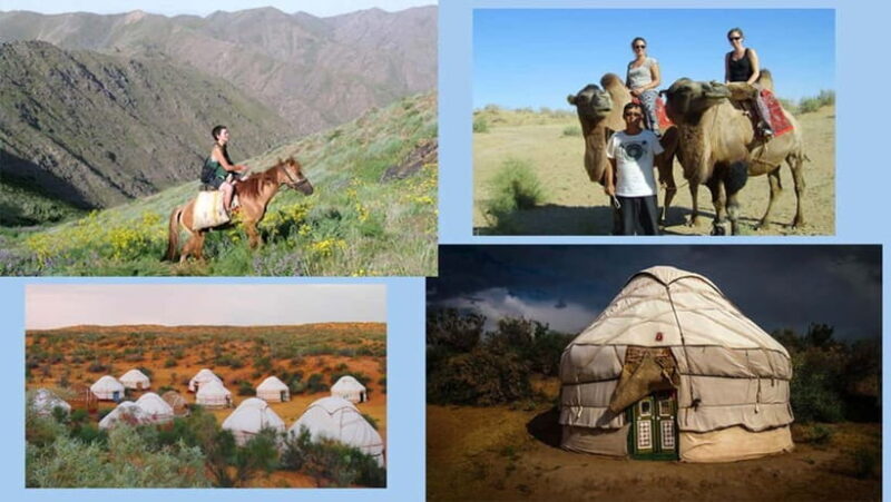 From Samarkand: 2-Day Yurt Camp Adventure with Camel Ride - FAQ: Practical Questions about the Tour