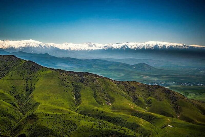 From Samarkand: Shahrisabz Private Day Tour - Who is this tour best for?