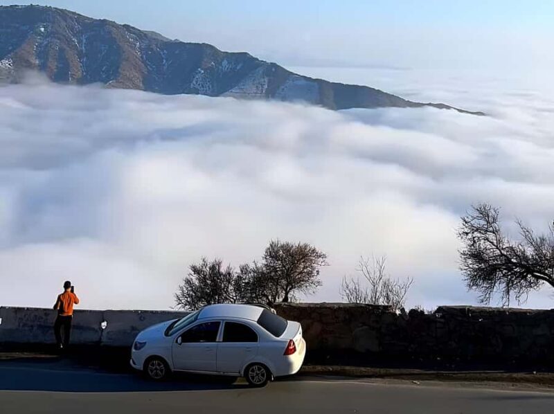 From Samarkand: Shahrisabz Tour via Mountain Pass - Transport, Timing, and Overall Value