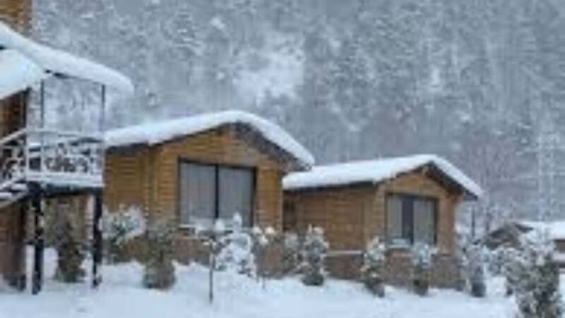 From Samarkand: Zomin Mountains Winter Cable Car Day Trip. - Final Thoughts: Who Should Consider This Tour?