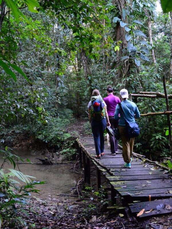 From San Cristóbal: Lacandona Jungle 3 Days Tour - What Makes This Tour Stand Out