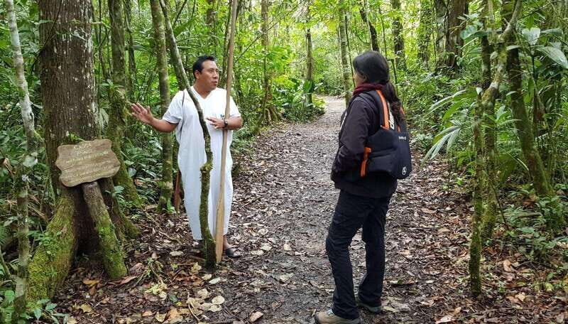 From San Cristóbal: Lacandona Jungle 3 Days Tour - The Experience and Reviews