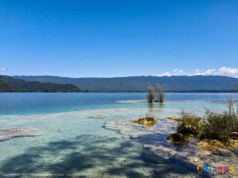 From San Cristóbal: Miramar Lagoon Hidden Paradise - Key Points