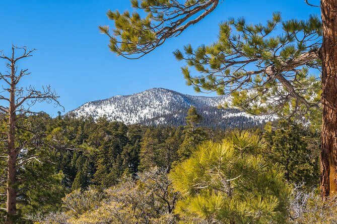 From San Diego: Two-Day Camping and Hiking Adventure in Idyllwild - An In-Depth Look at the Experience
