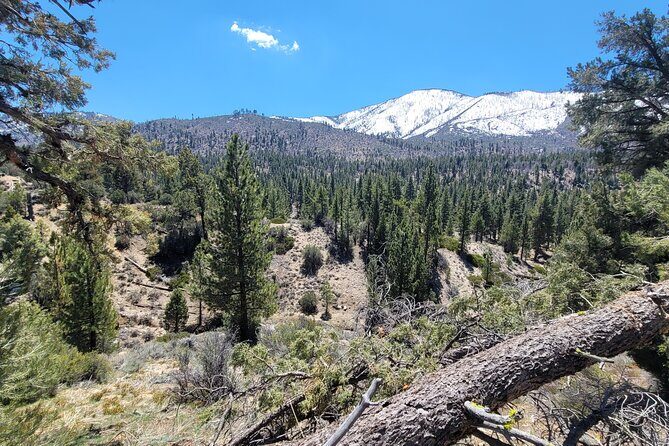 From San Diego: Two-Day Kayaking & Hiking at Big Bear Lake - Key Points