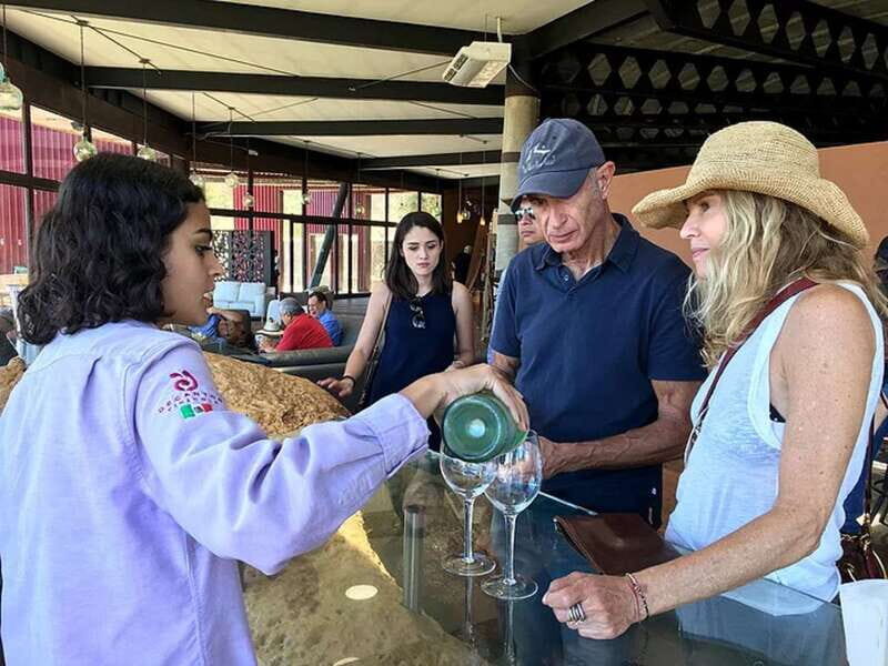 From San Diego: Valle de Guadalupe Private Wine Tasting Tour - The Experience: What Travelers Say