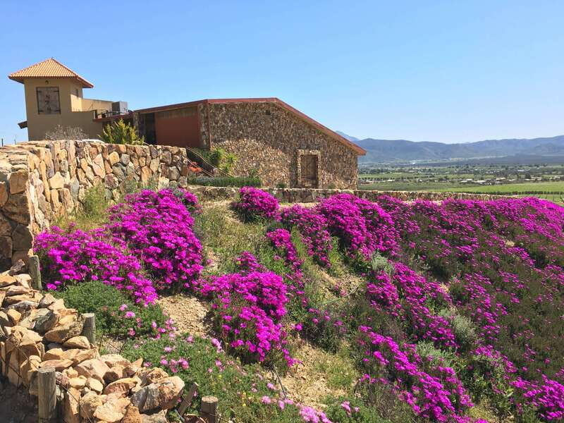 From San Diego: Valle de Guadalupe Private Wine Tasting Tour - The Sum Up