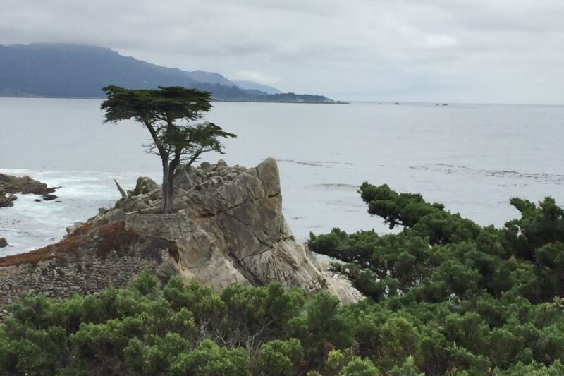 From San Francisco: Carmel, Monterey & Big Sur Private Tour - The Sum Up