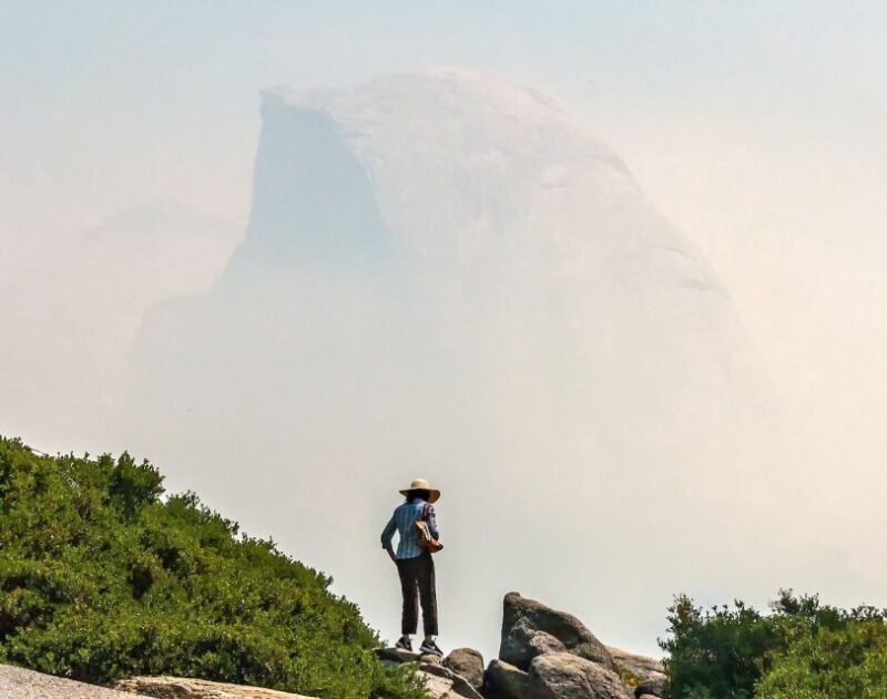 From San Francisco: Day Trip to Yosemite National Park - The Itinerary in Depth