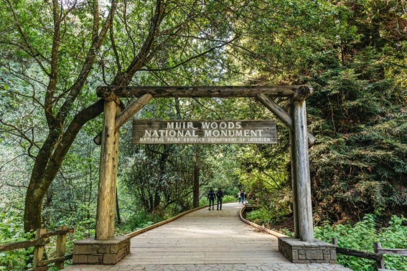 From San Francisco: Guided Muir Woods Tour - From San Francisco: Guided Muir Woods Tour