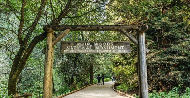 From San Francisco: Guided Muir Woods Tour - Value and Pricing