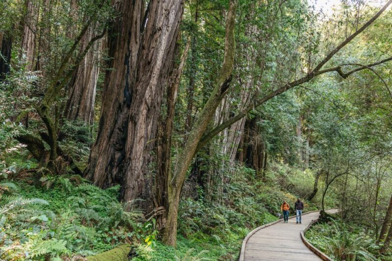From San Francisco: Guided Muir Woods Tour - Frequently Asked Questions