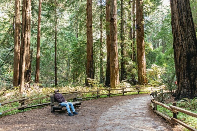 From San Francisco: Guided Muir Woods Tour - Final Thoughts