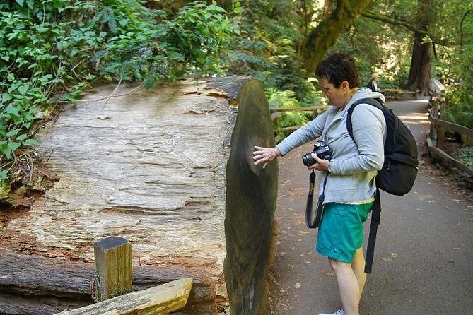 From San Francisco: Guided Tour to Muir Woods Coastal Redwoods - In The Sum Up