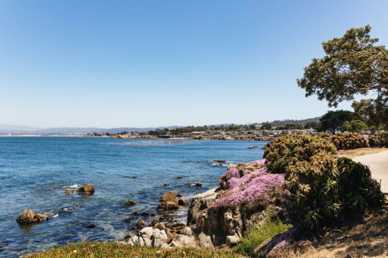 From San Francisco: Monterey and Carmel Day Tour - Who Will Love This Tour?