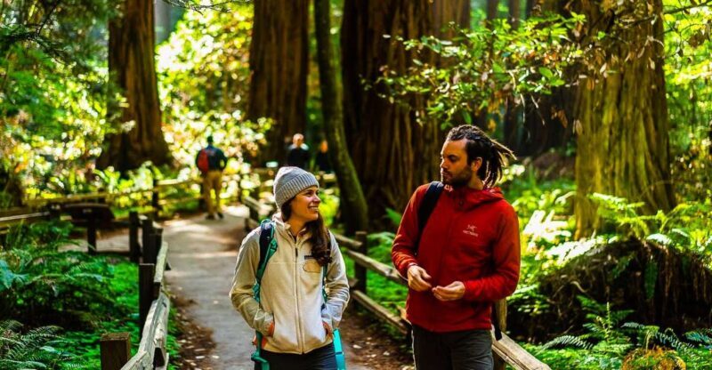 From San Francisco: Muir Woods and Sausalito Half-Day Trip - Planning Your Day: What to Expect