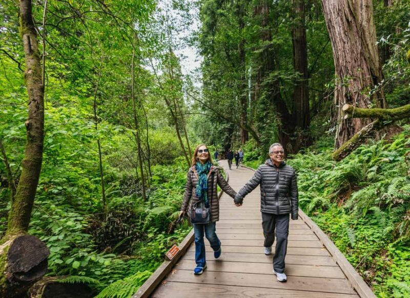 From San Francisco: Muir Woods, Sausalito and Alcatraz Tour - Real Traveler Feedback: Authentic Insights