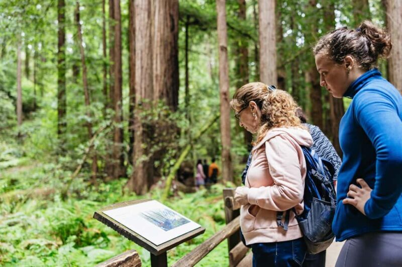 From San Francisco: Muir Woods, Sausalito and Alcatraz Tour - Who Should Take This Tour?