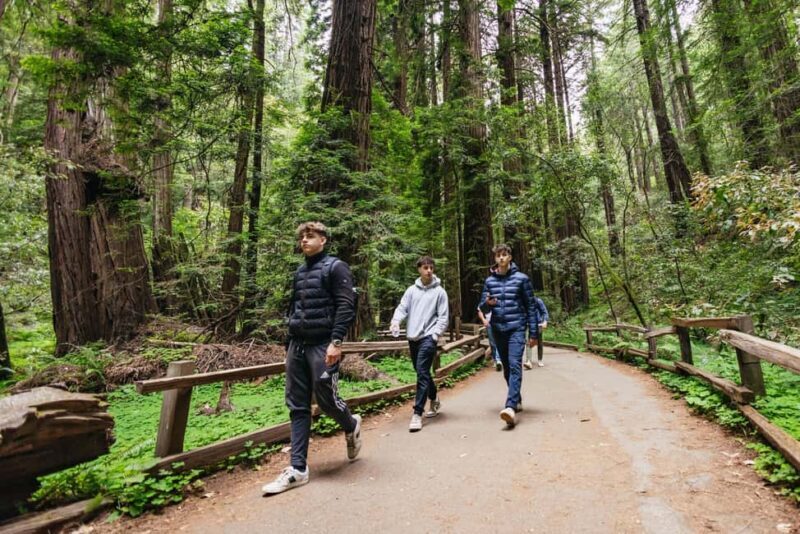 From San Francisco: Muir Woods, Sausalito and Alcatraz Tour - FAQs