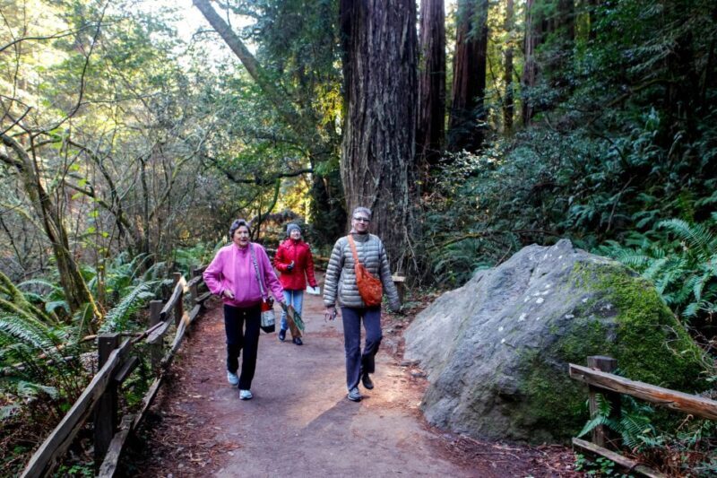 From San Francisco: Muir Woods Wine Tour with Napa & Sonoma - Authentic Experiences and Travel Tips