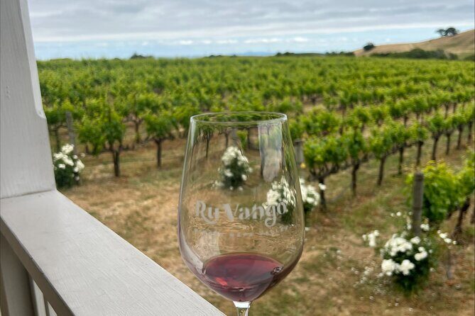From San Francisco: Napa & Sonoma Valley Wine Tour with Tastings - Sonoma Square – Lunch & Free Time