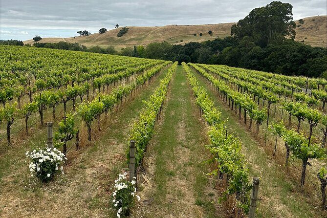 From San Francisco: Napa & Sonoma Valley Wine Tour with Tastings - Duration & Timing