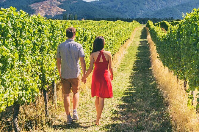 From San Francisco: Napa & Sonoma Valley Wine Tour with Tastings - Cost & Value