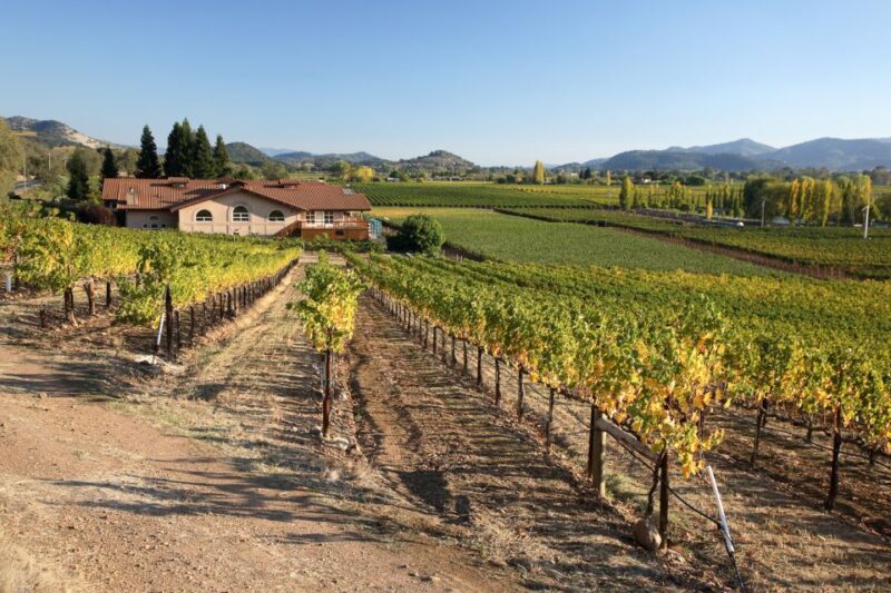 From San Francisco: Napa Valley Private Tour - Key Points