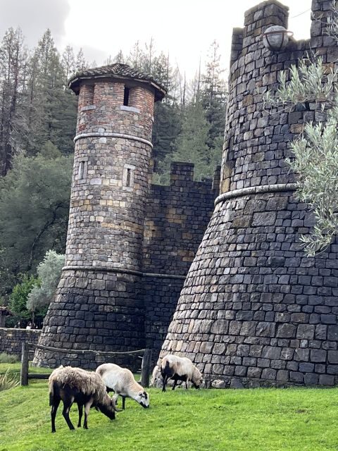 From San Francisco: Napa Valley Private Tour - Final Thoughts: Who Is This Tour Best For?