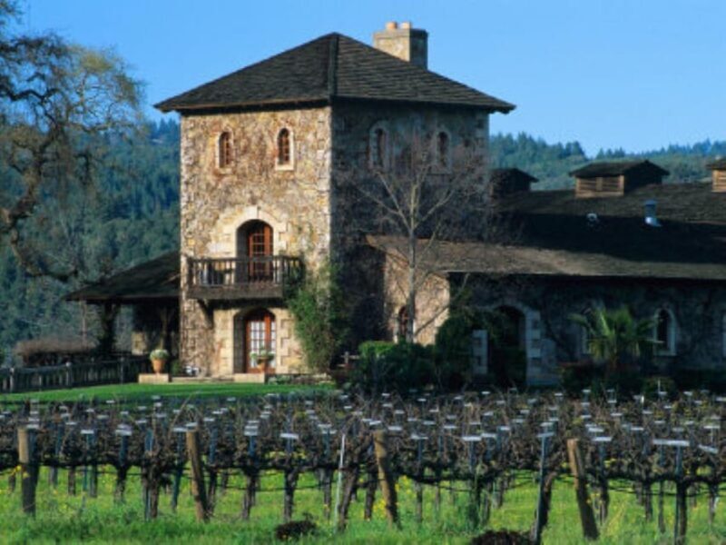 From San Francisco: Santa Rosa Wine Tasting Tour - Setting the Scene: The Journey Begins